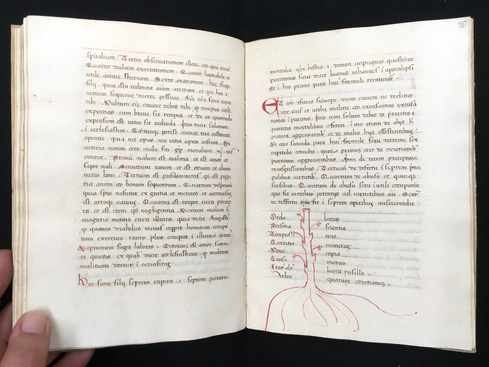 The Art of Excerpting and the Encyclopedic Mind of the Middle Ages – n ...